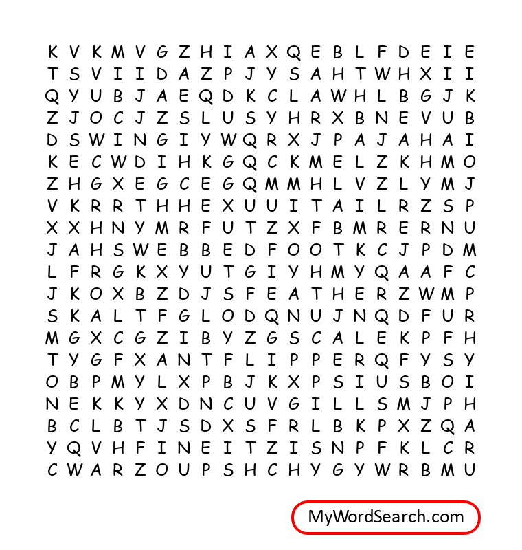 1st Grade Animal Science Vocabulary