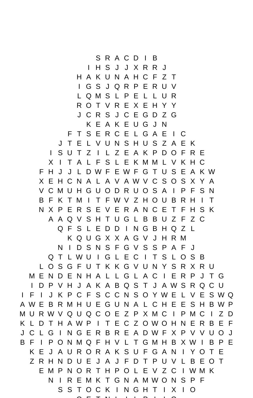 Alaska holiday word search!