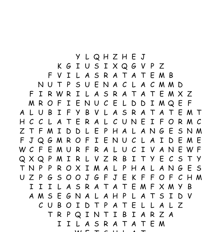 Bones of the lower limb