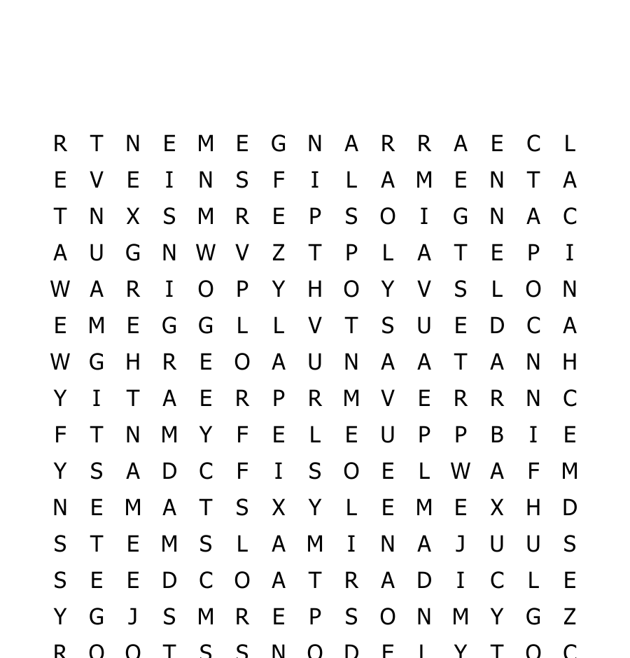 botany-word-search