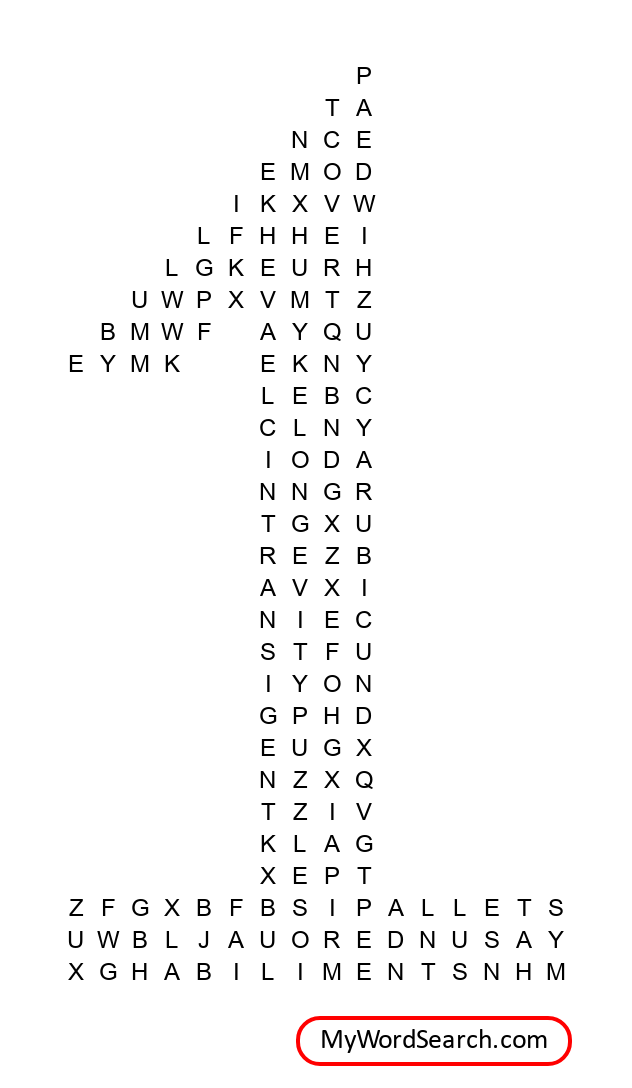Chapter 38 One Minute Word Search
