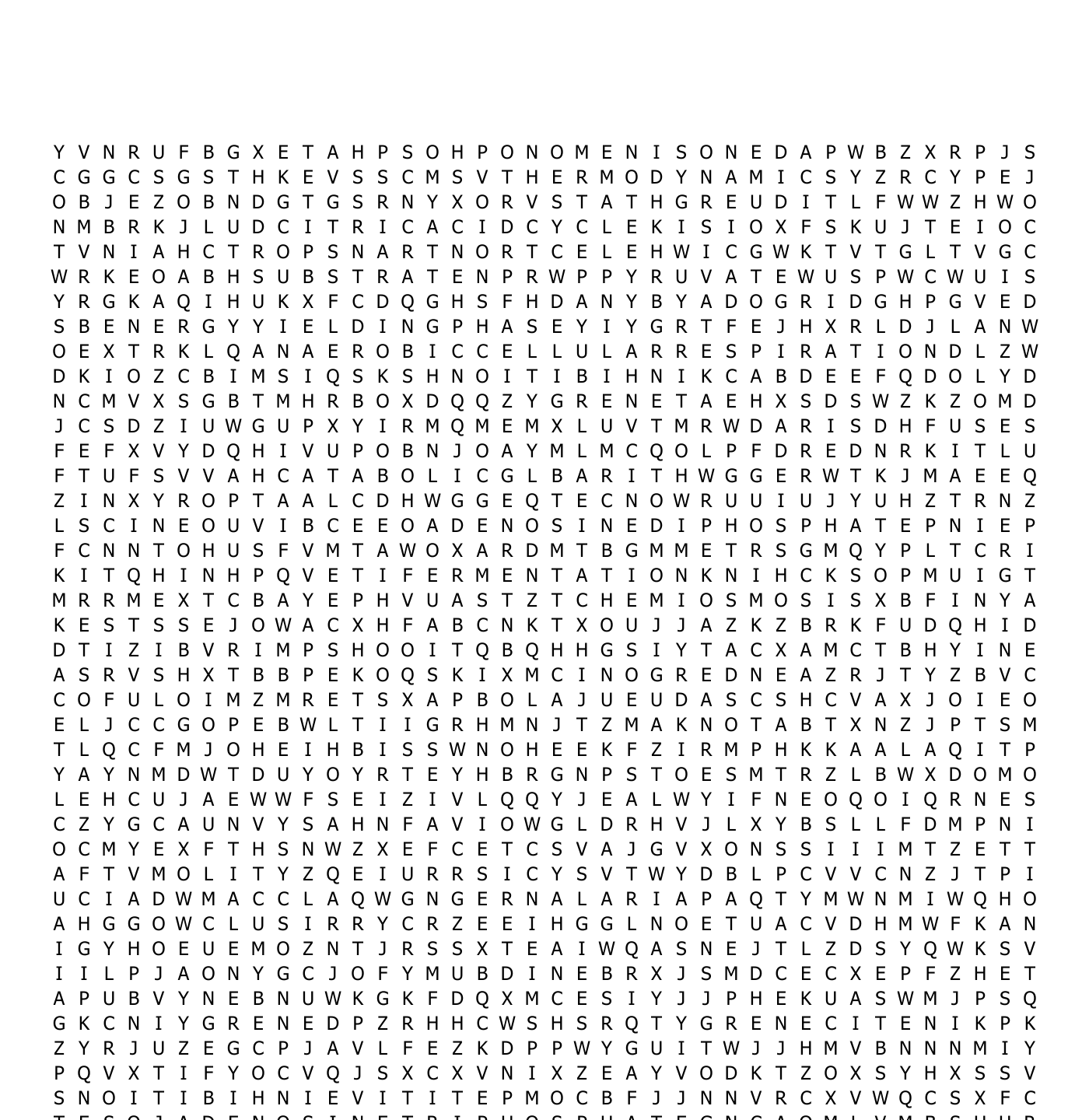 Chapter 4 Word Search