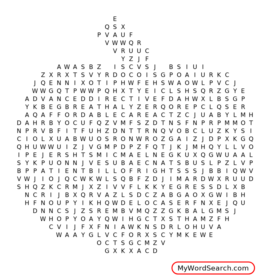 HST SAFETY AND REGULATIONS