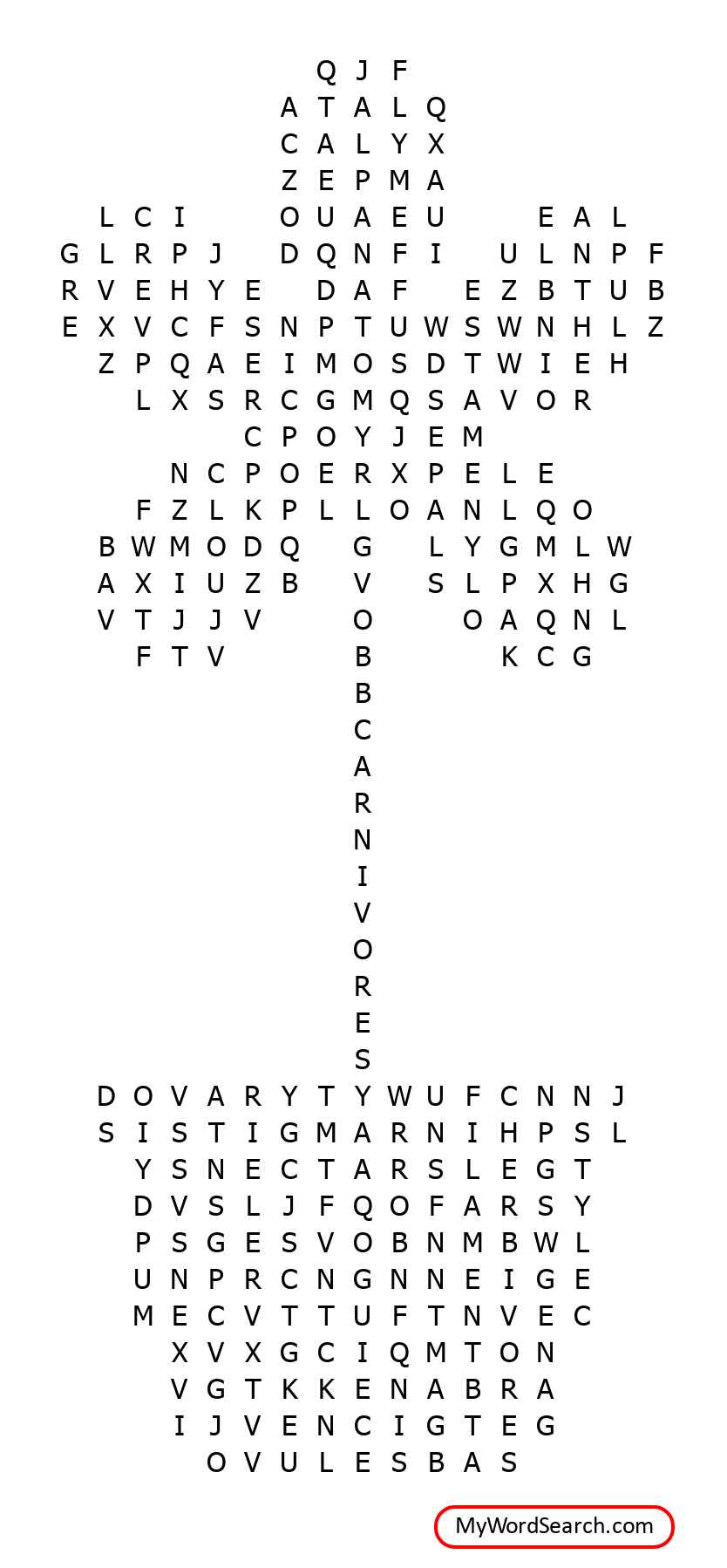 Lesson 3 Vocabulary Word Search