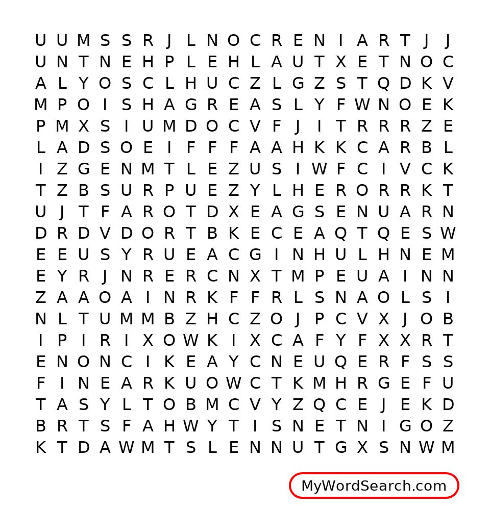 NO3 Word Search