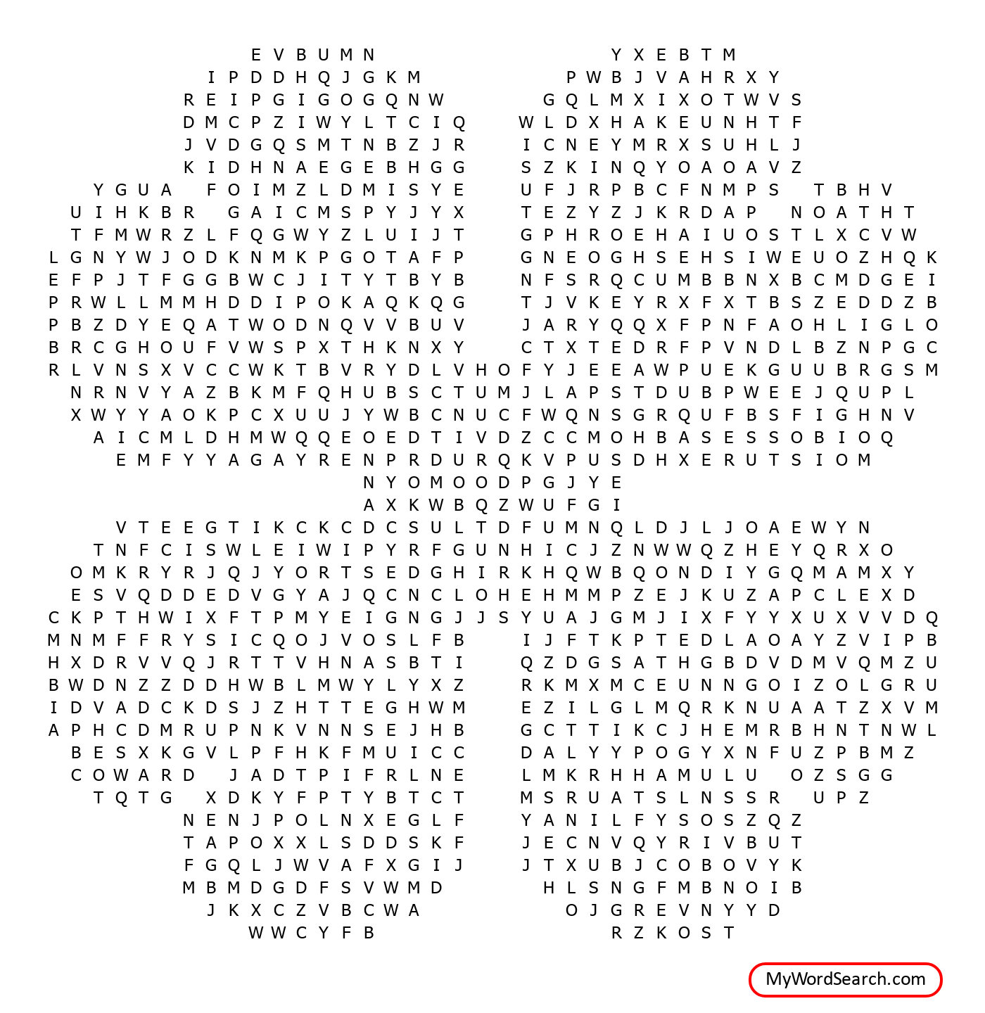 Sean’s Word Search