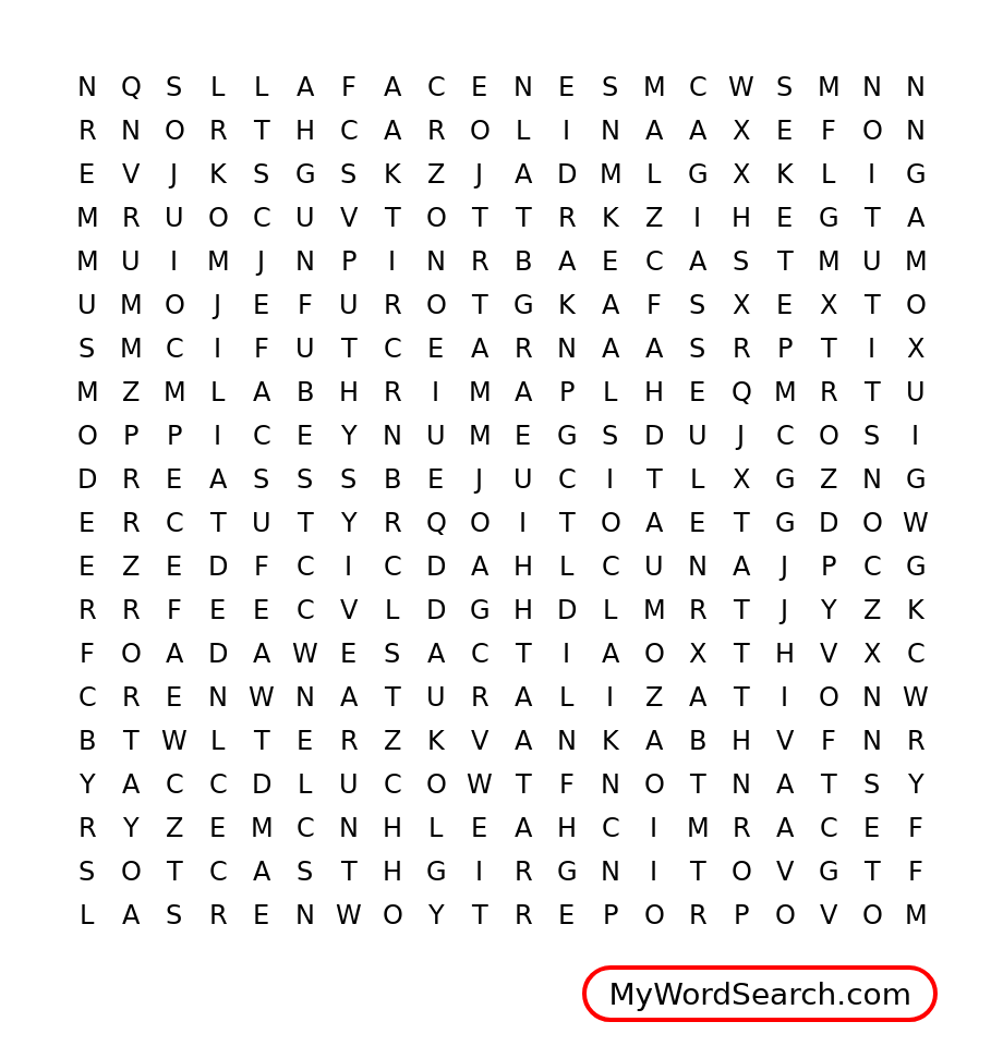 Timeline Word Search