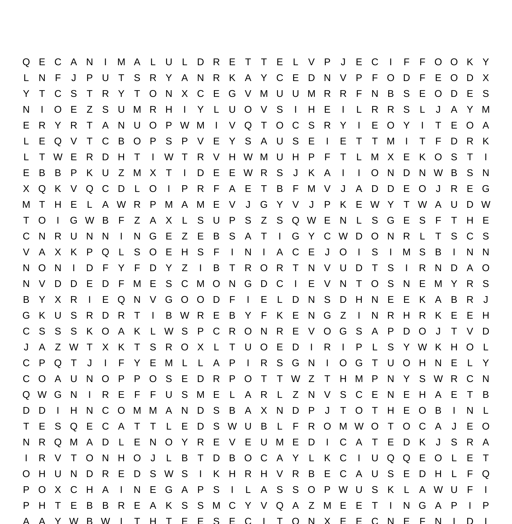 Yellowstone Word Search 41